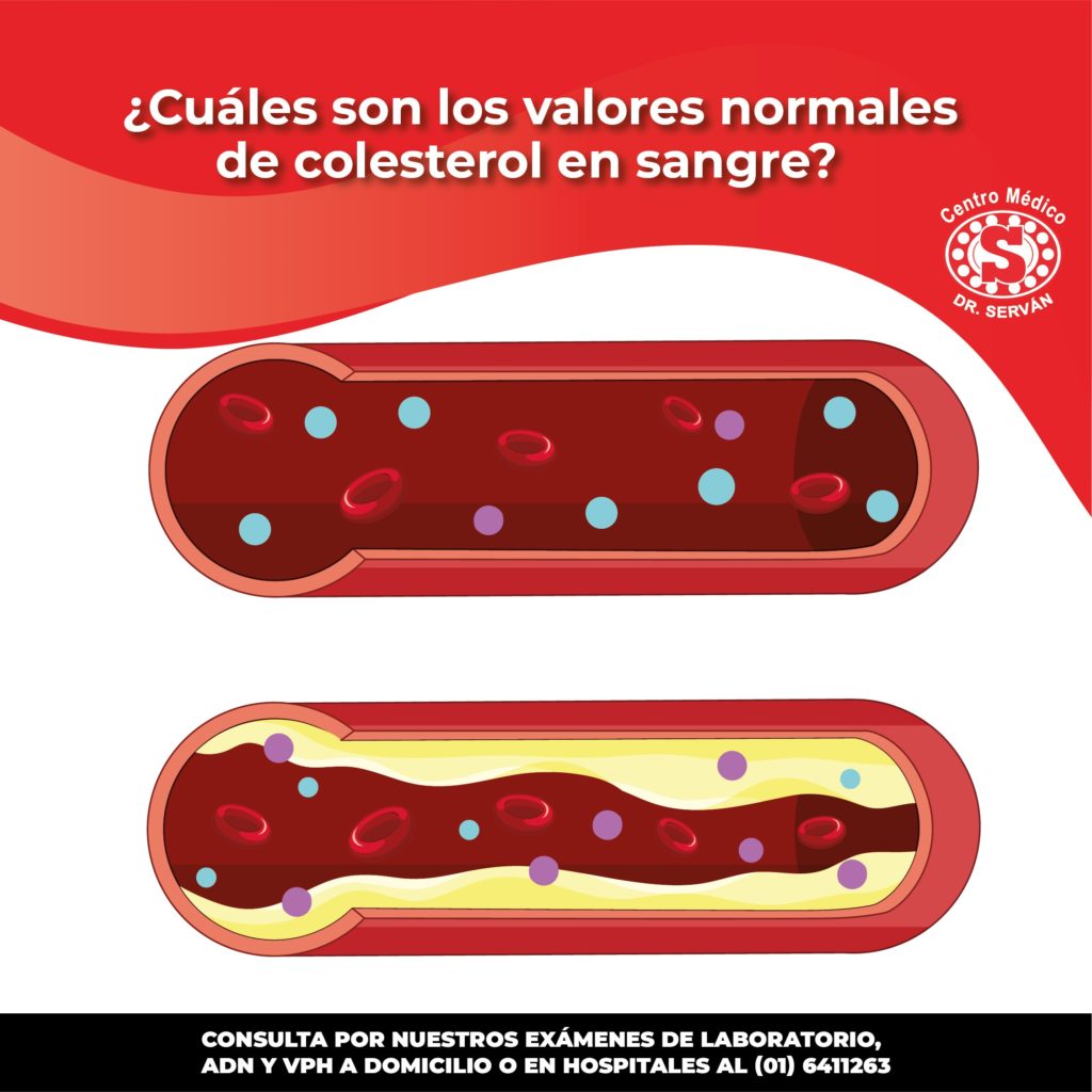 ¿Cuáles son los valores normales de colesterol en sangre? - Centro ...