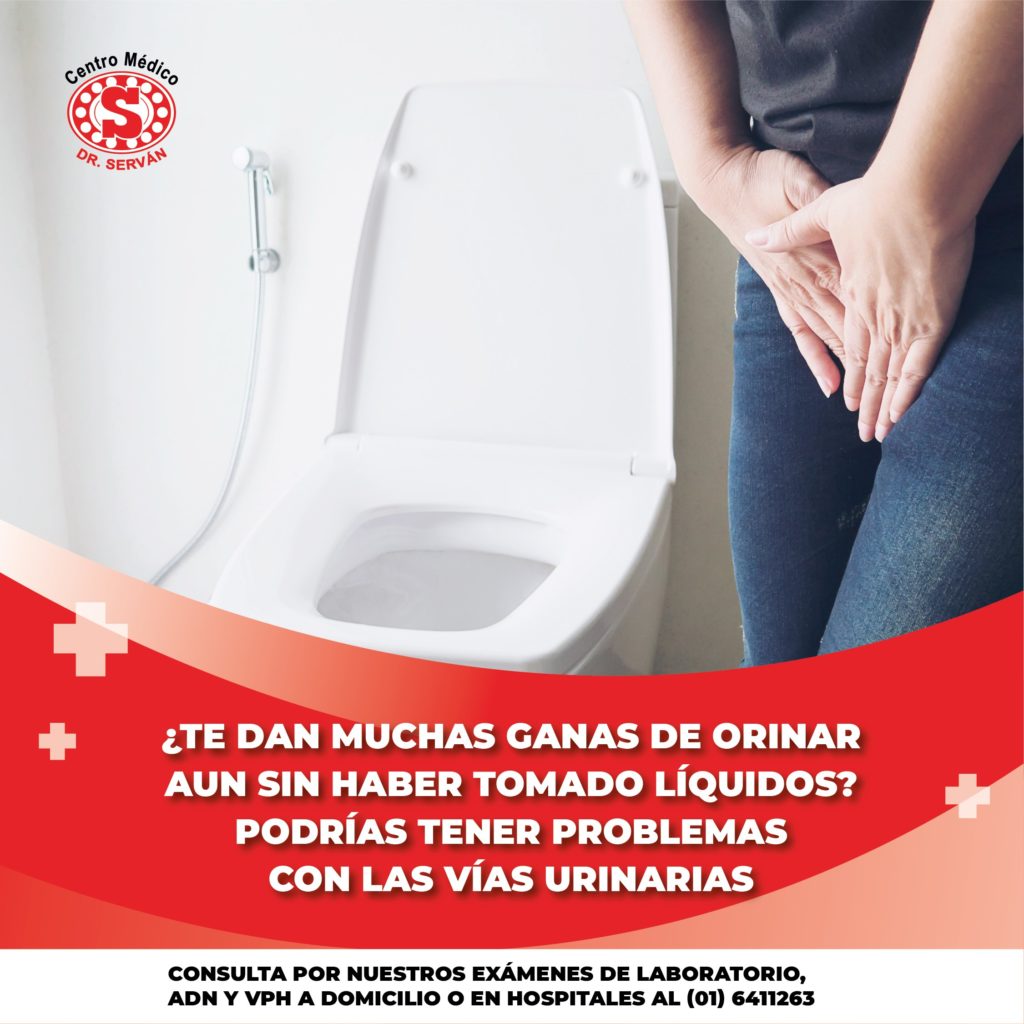 ¿Te dan muchas ganas de orinar aun sin haber tomado líquidos? Podrías ...